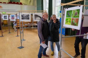 Royston Art Festival 2024 – Royston Photographic Society